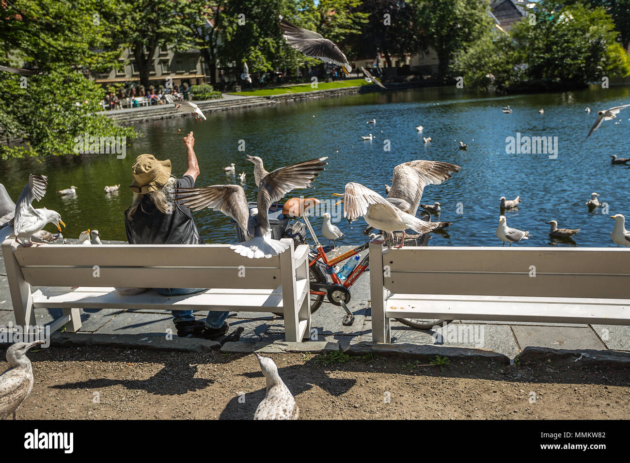 Man eating birds hi-res stock photography and images - Alamy