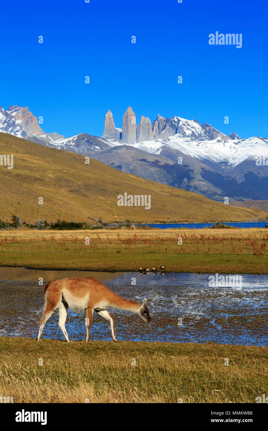Patagonia azul hi-res stock photography and images - Alamy