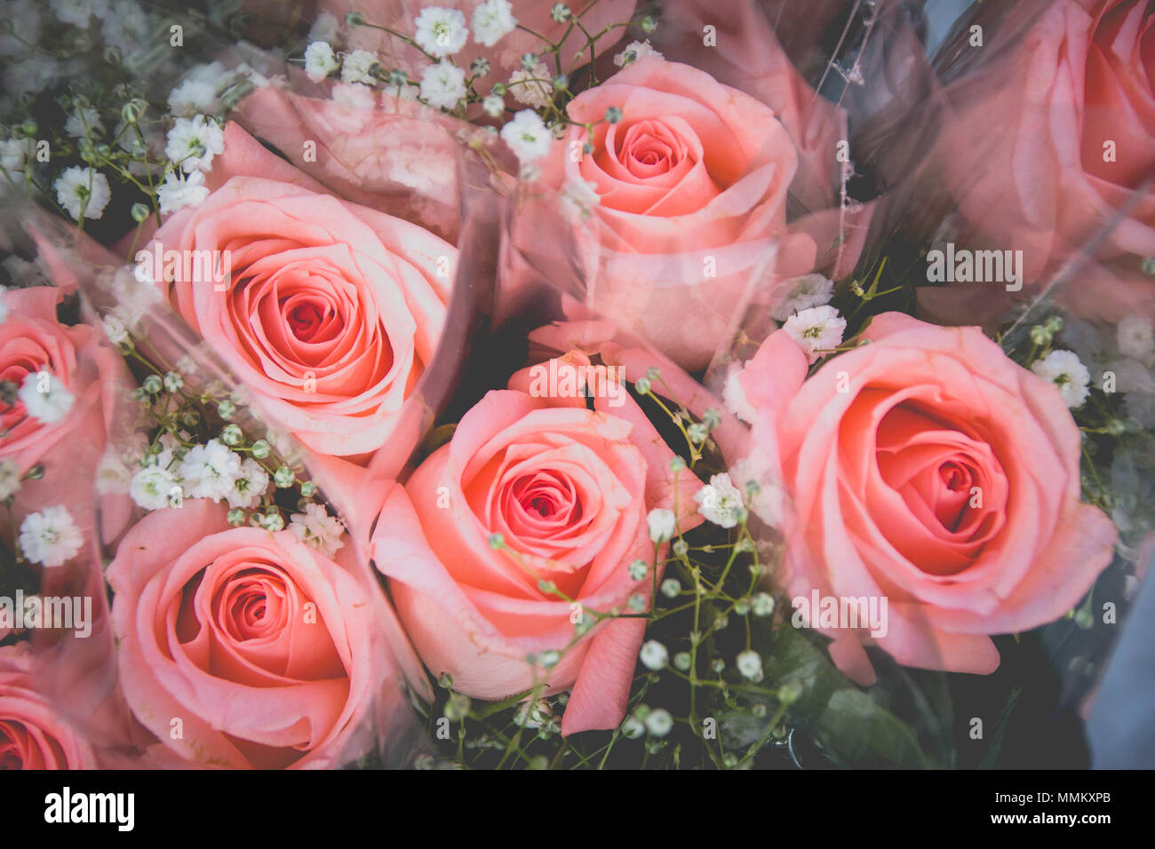Detail photograph of some natural rose flowers Stock Photo - Alamy