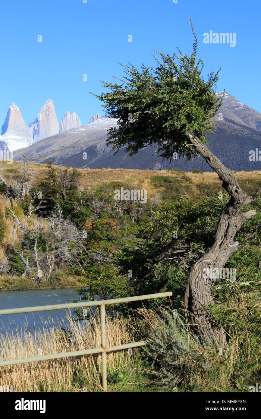 Cascada Paine, Rio Paine, Torres del Paine National Park, Patagonia ...