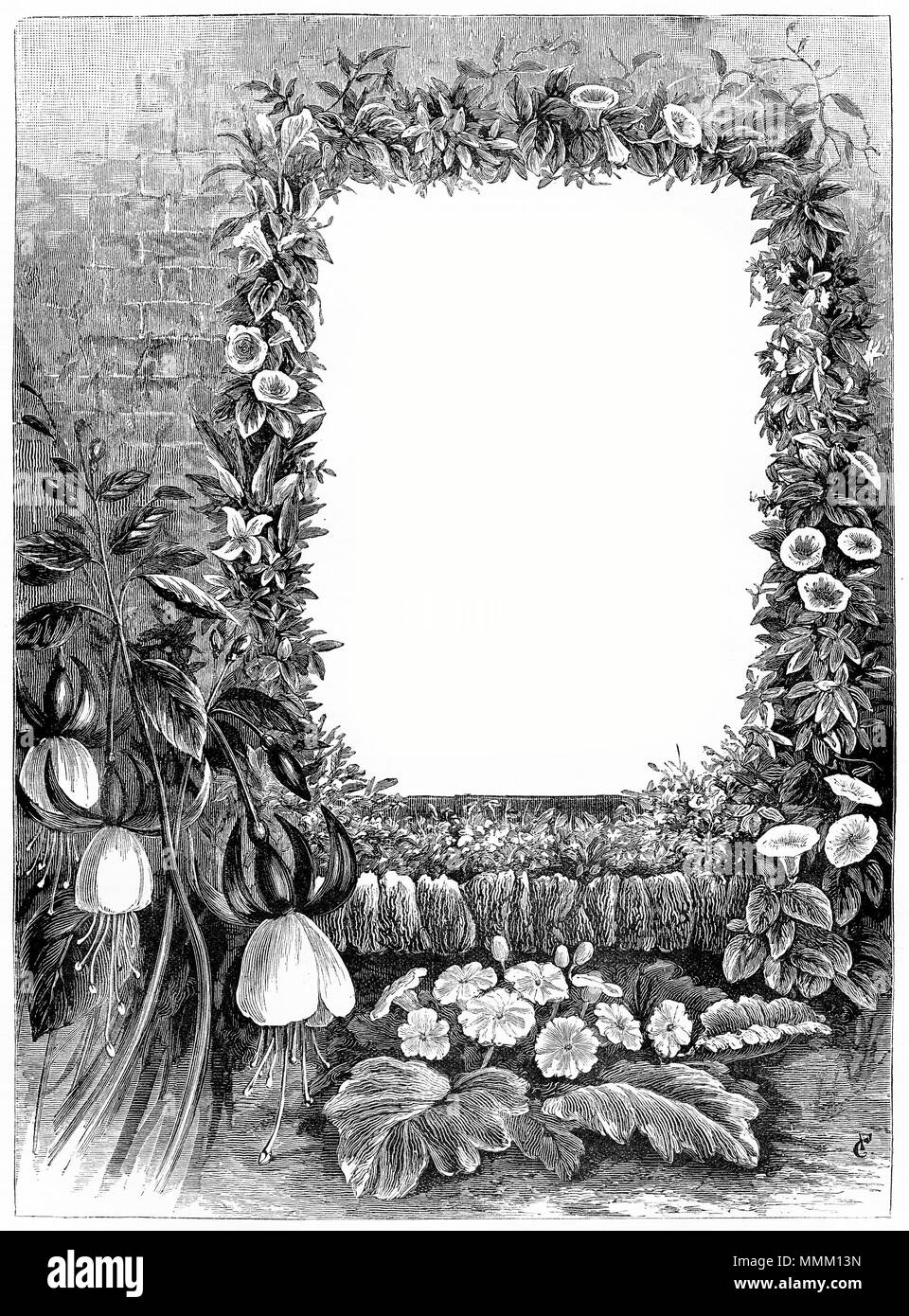 Engraving of a nature border with a frame for text. From an original ...