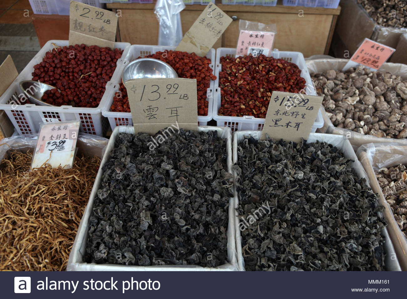 Rational Culture High Resolution Stock Photography and Images - Alamy