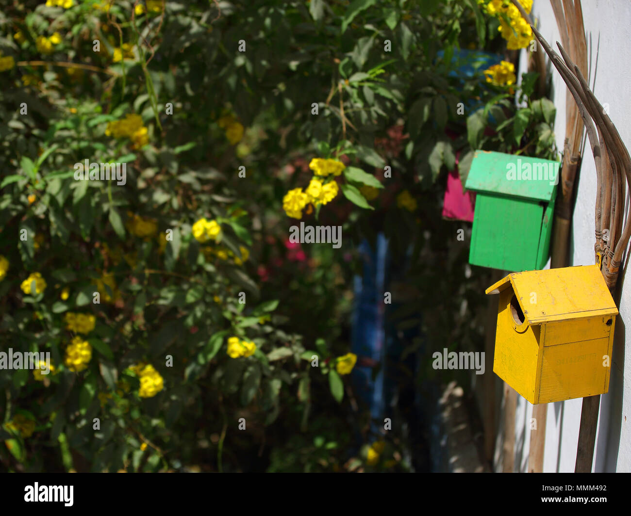 Images of India Stock Photo - Alamy