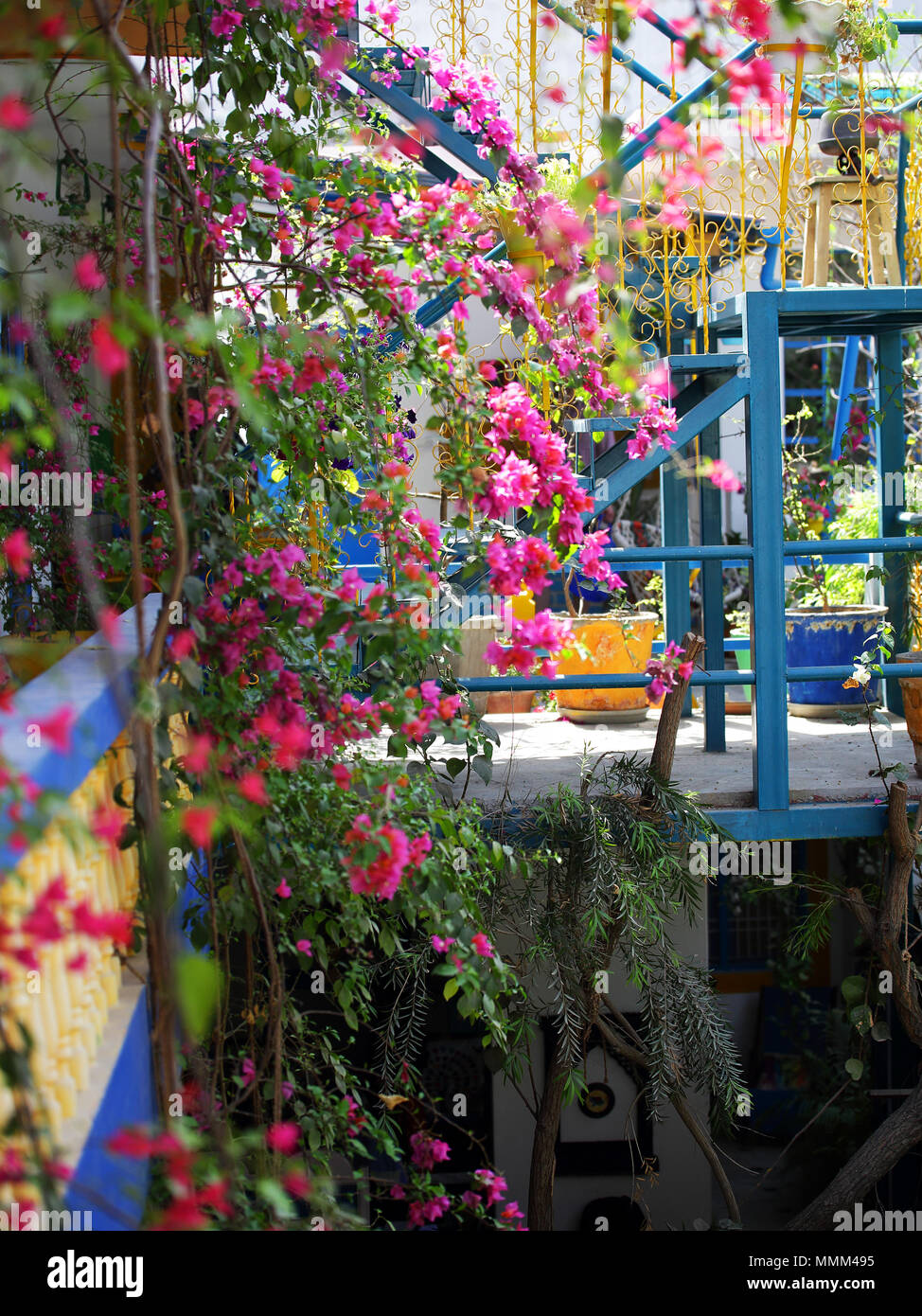 Images of India Stock Photo - Alamy