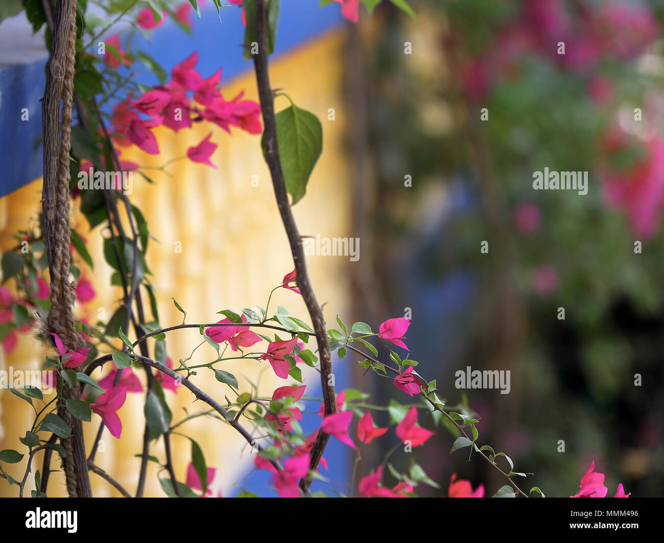 Images of India Stock Photo - Alamy