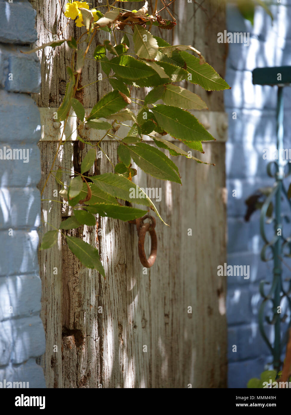 Images of India Stock Photo - Alamy