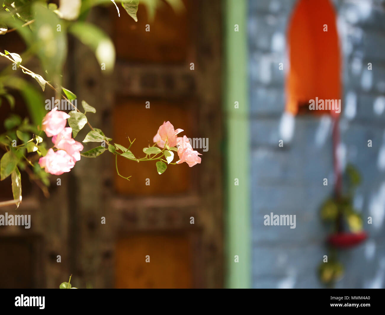 Images of India Stock Photo - Alamy