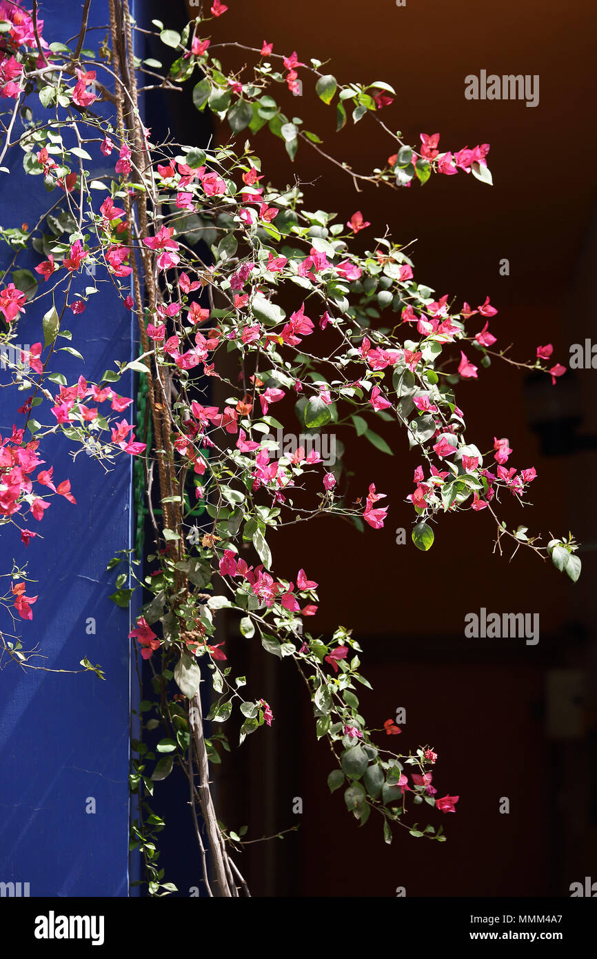 Images of India Stock Photo - Alamy