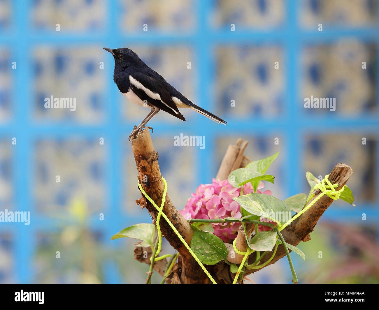 Images of India Stock Photo - Alamy