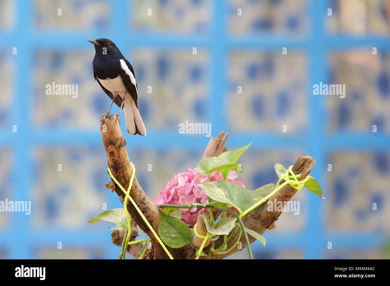 Images of India Stock Photo - Alamy
