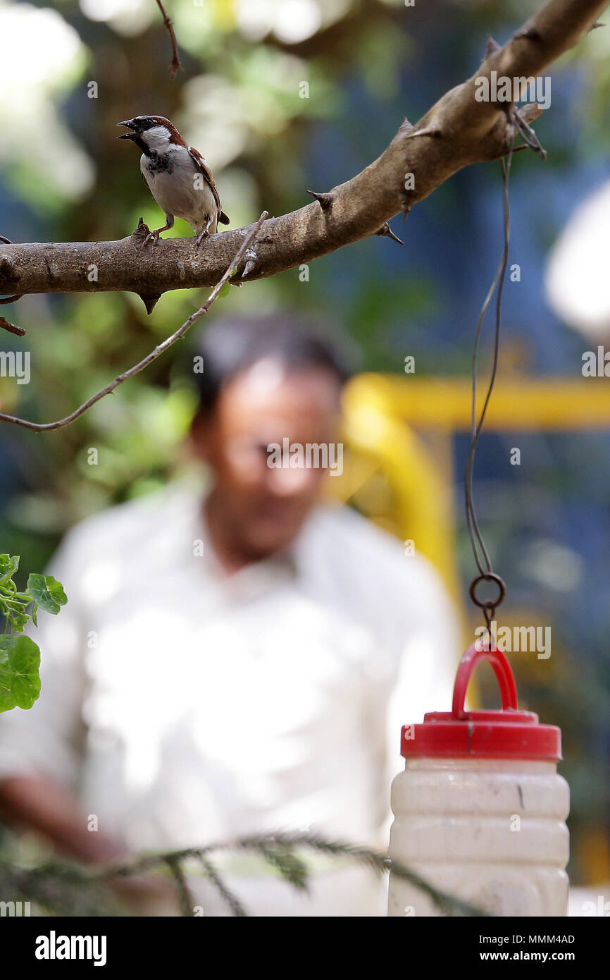 Images of India Stock Photo - Alamy