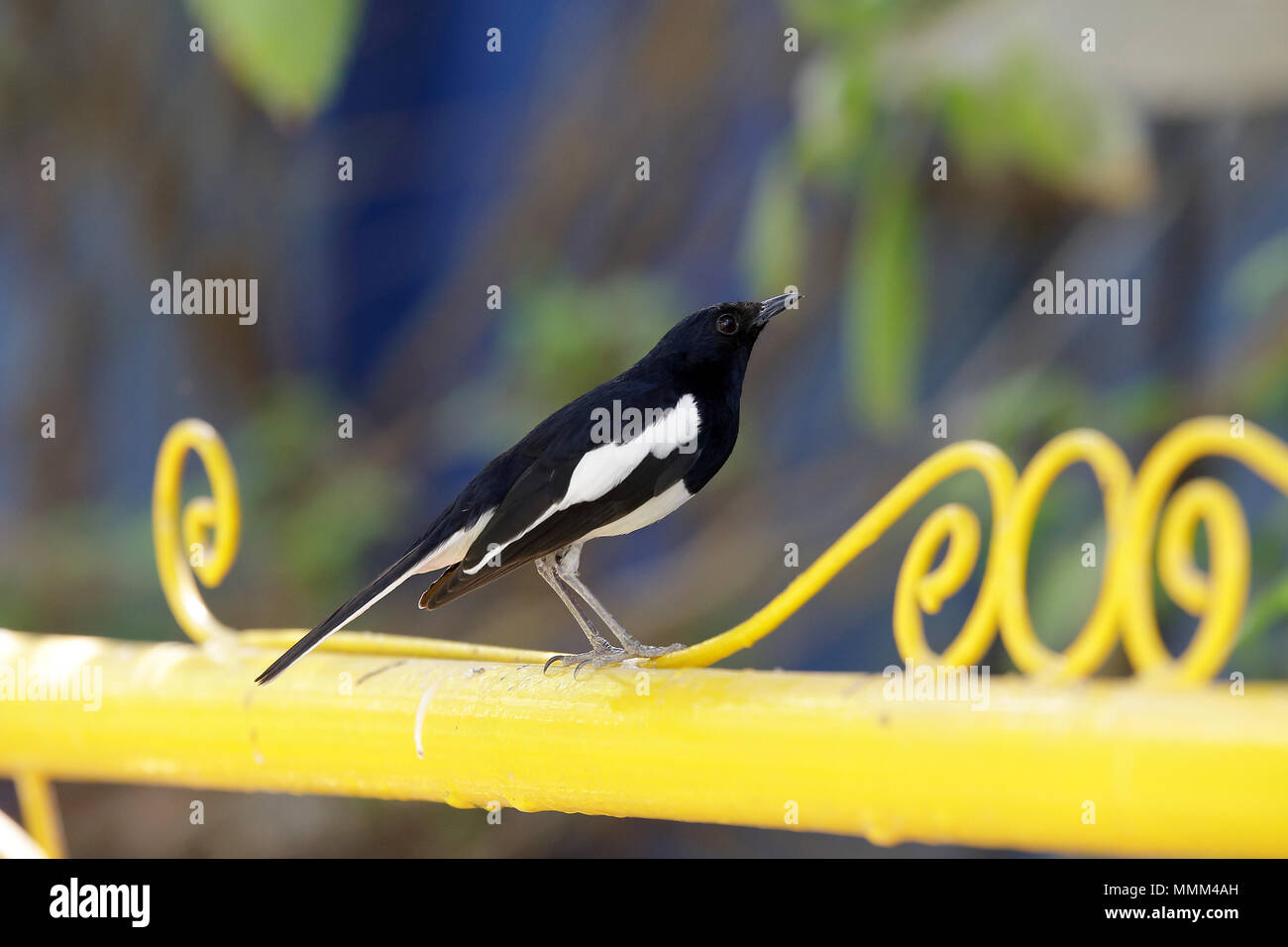 Images of India Stock Photo - Alamy