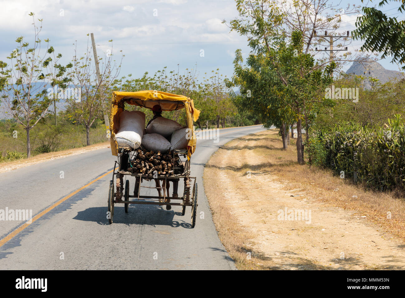 Animal powered vehicle hi-res stock photography and images - Alamy