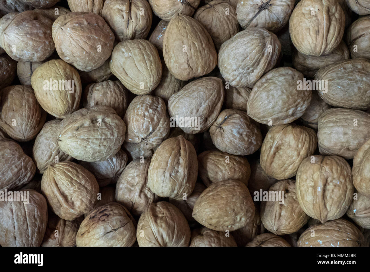 Large walnuts in a shell texture, food background texture nuts Stock ...