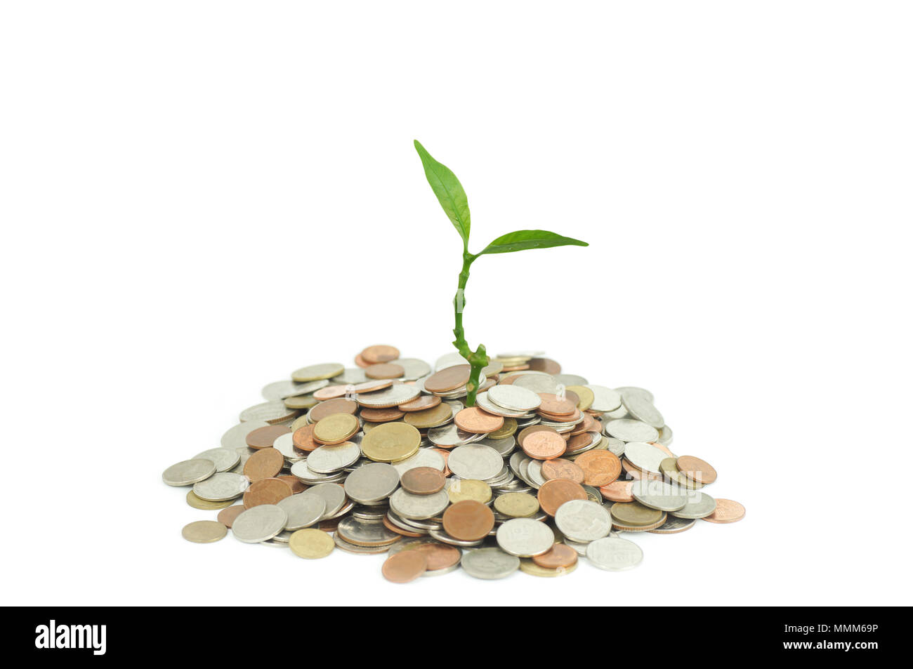 trees growing on coins / business success and save Stock Photo - Alamy