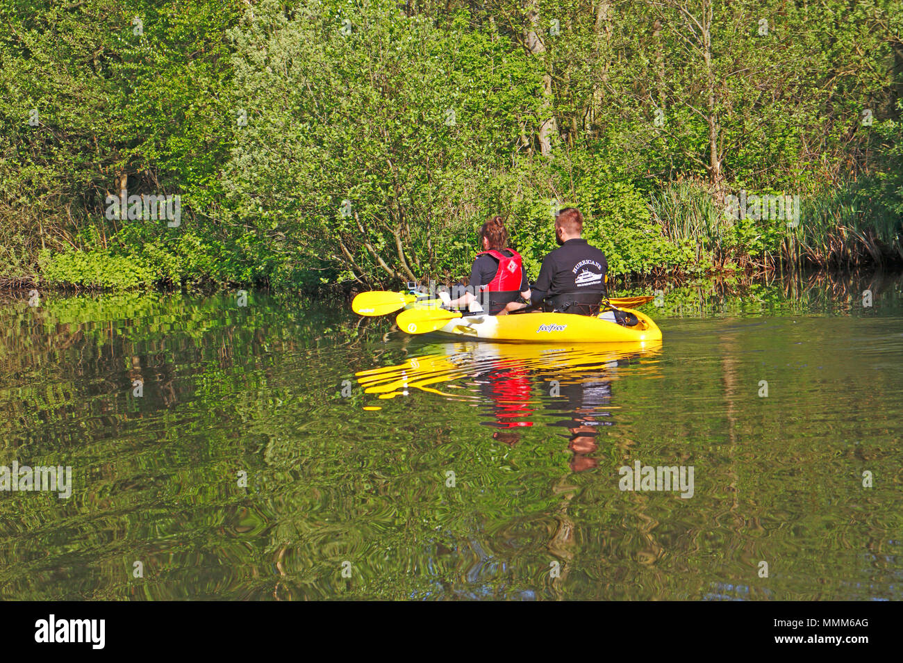 A man and woman canoeing on the River Bure on the Norfolk Broads ...