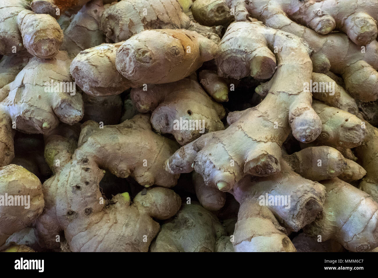 Rhizome dermis in peel, unclean, food background ginger Stock Photo - Alamy