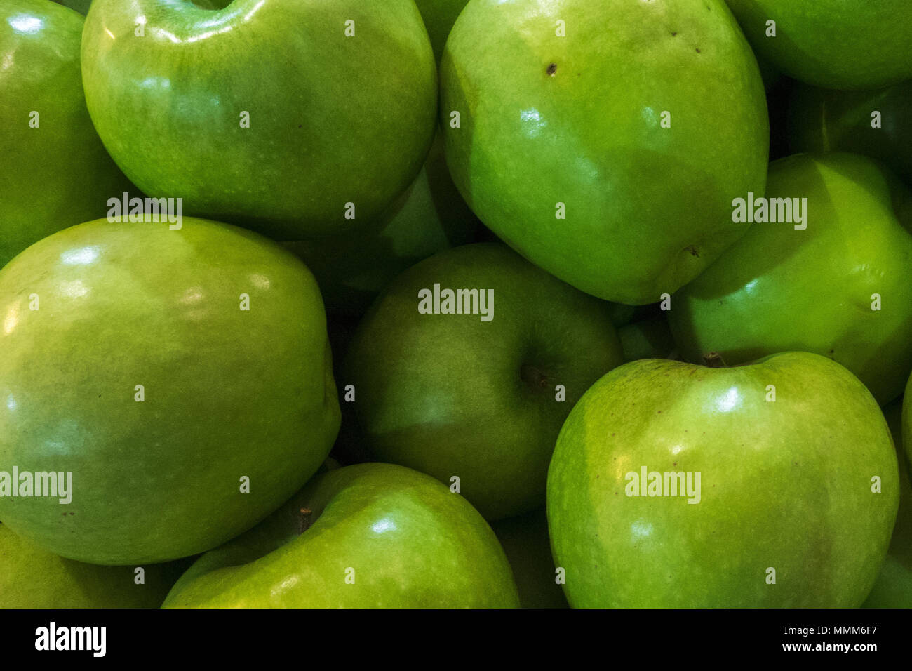 Large green apples with shiny peel, closeup photograph Stock Photo - Alamy