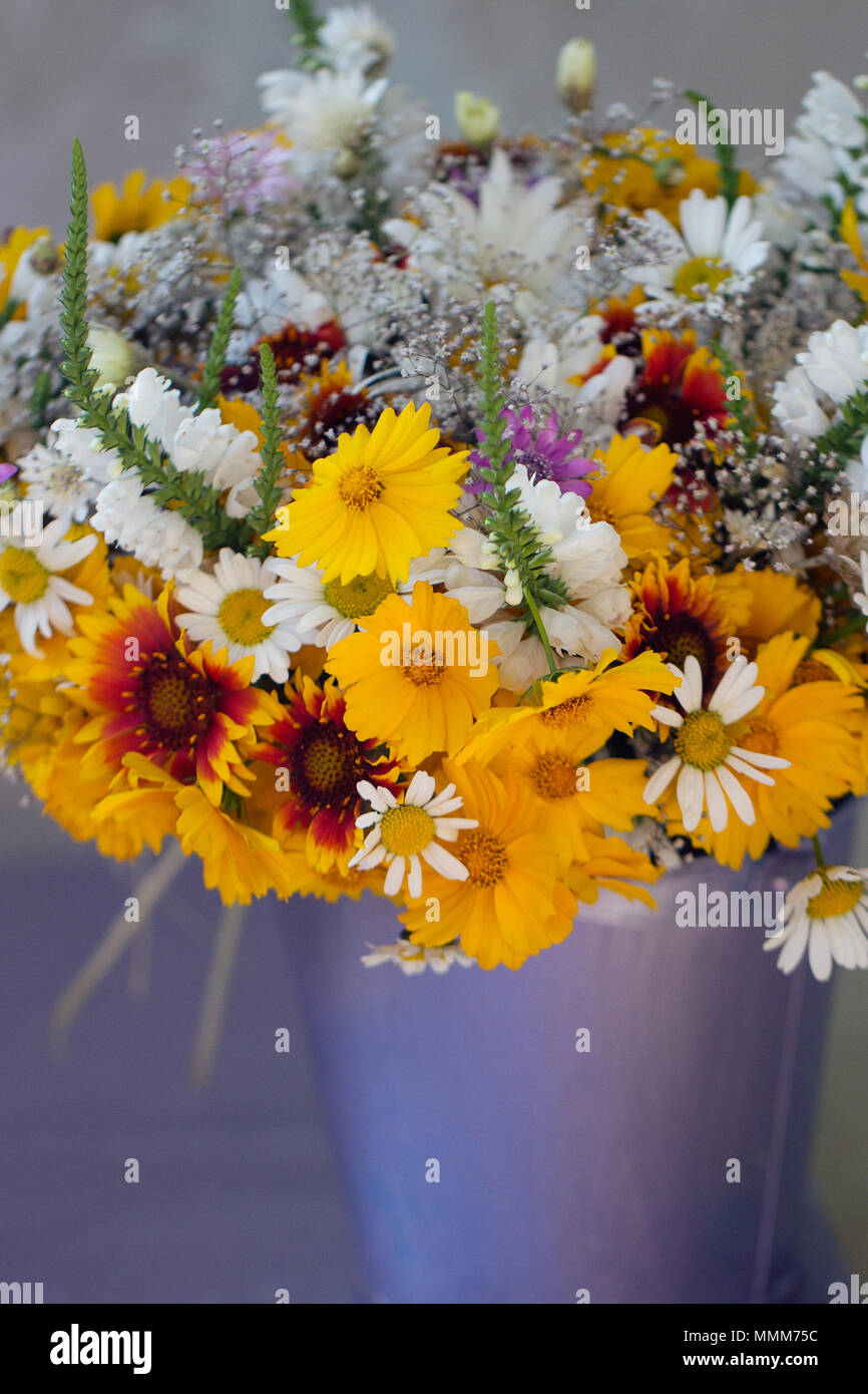 Beautiful bouquet of wild flowers in a purple bucket Stock Photo - Alamy