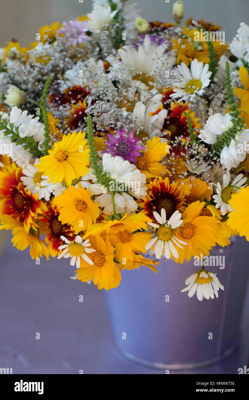 Beautiful bouquet of wild flowers in a purple bucket Stock Photo - Alamy