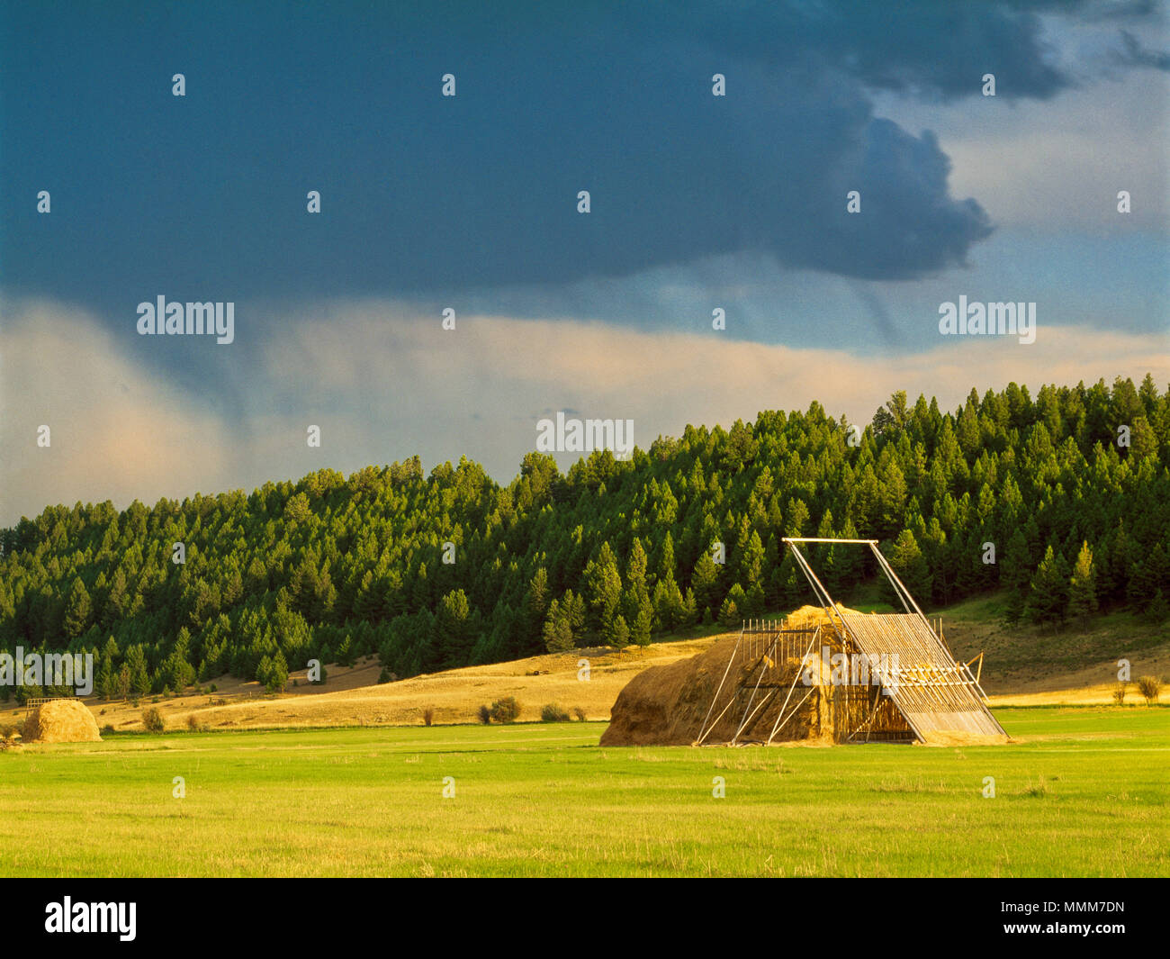 beaverslide and haystack in field near avon, montana Stock Photo - Alamy