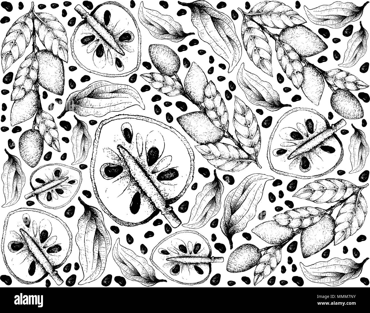 Atis fruit hi-res stock photography and images - Alamy