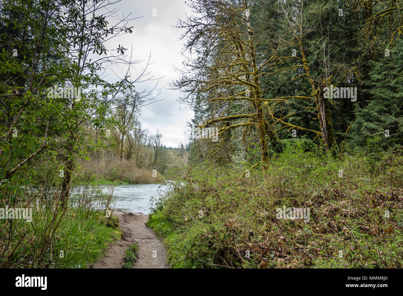 A dirt path leads to the Green River in Washington State Stock Photo ...