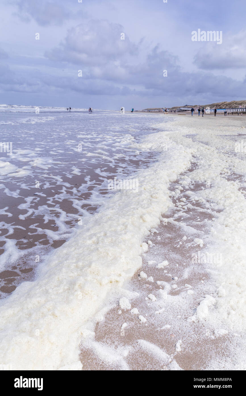 Foam algae hi-res stock photography and images - Alamy