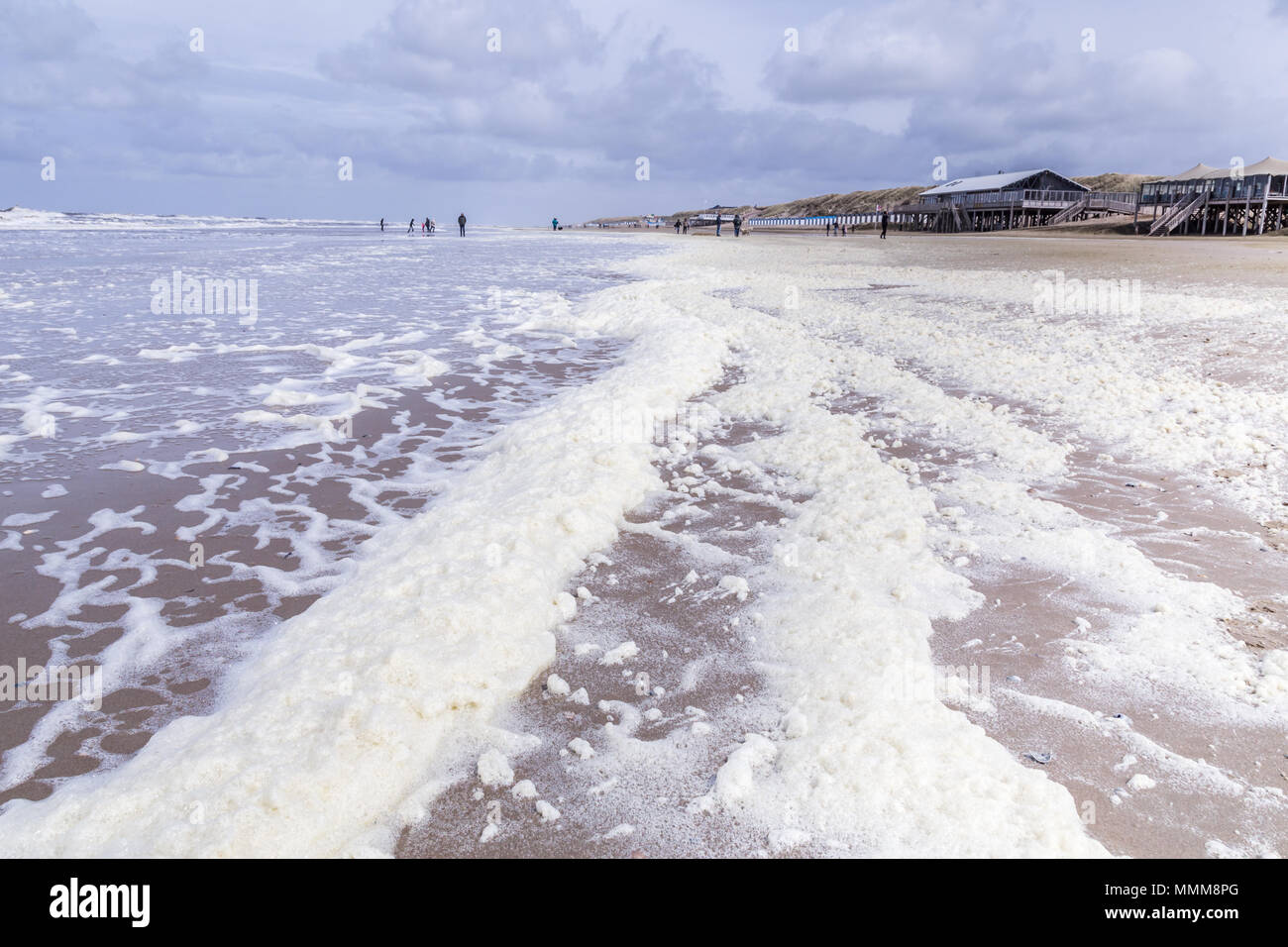 Algae foam hi-res stock photography and images - Alamy