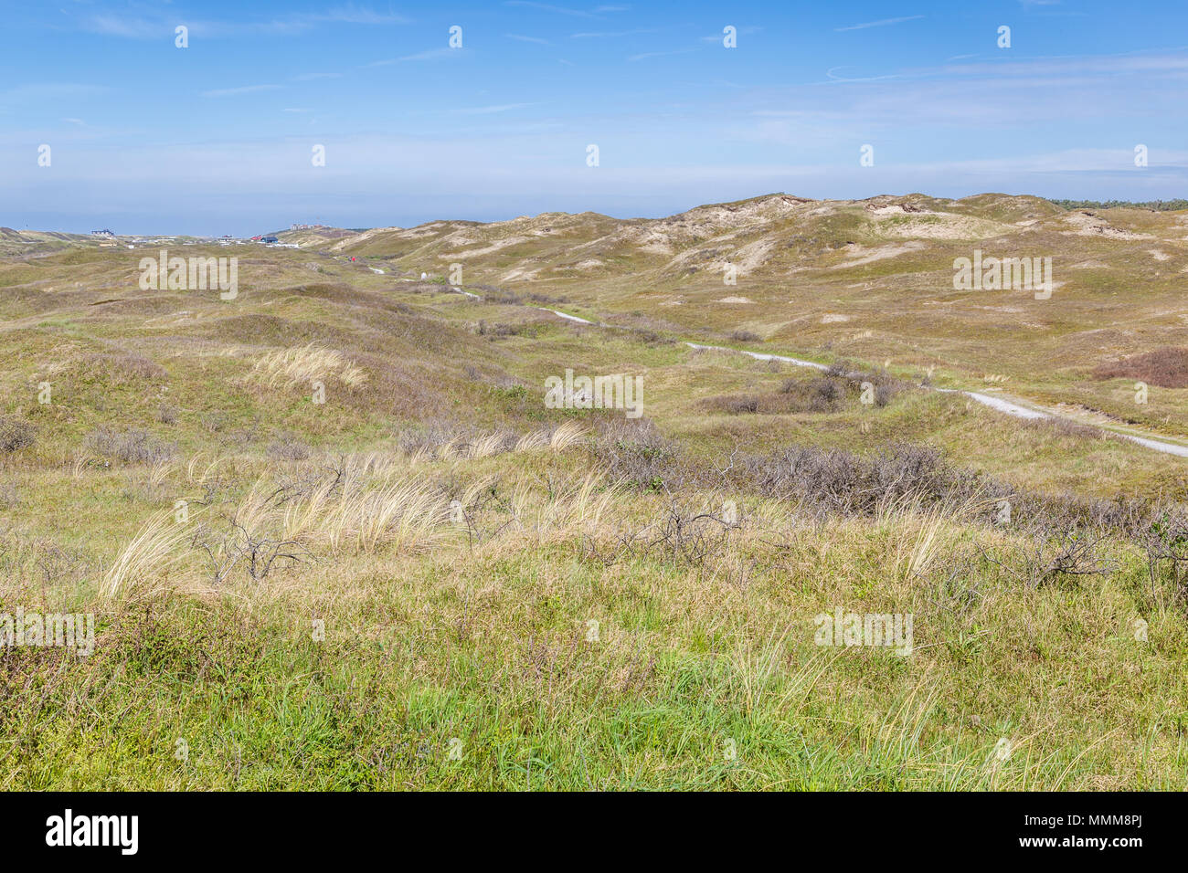 Dunes netherlands hi-res stock photography and images - Alamy