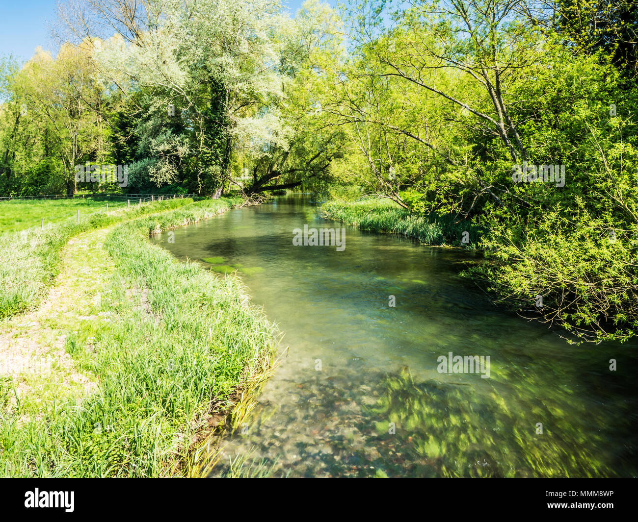 Summer day along a river pathway hi-res stock photography and images ...