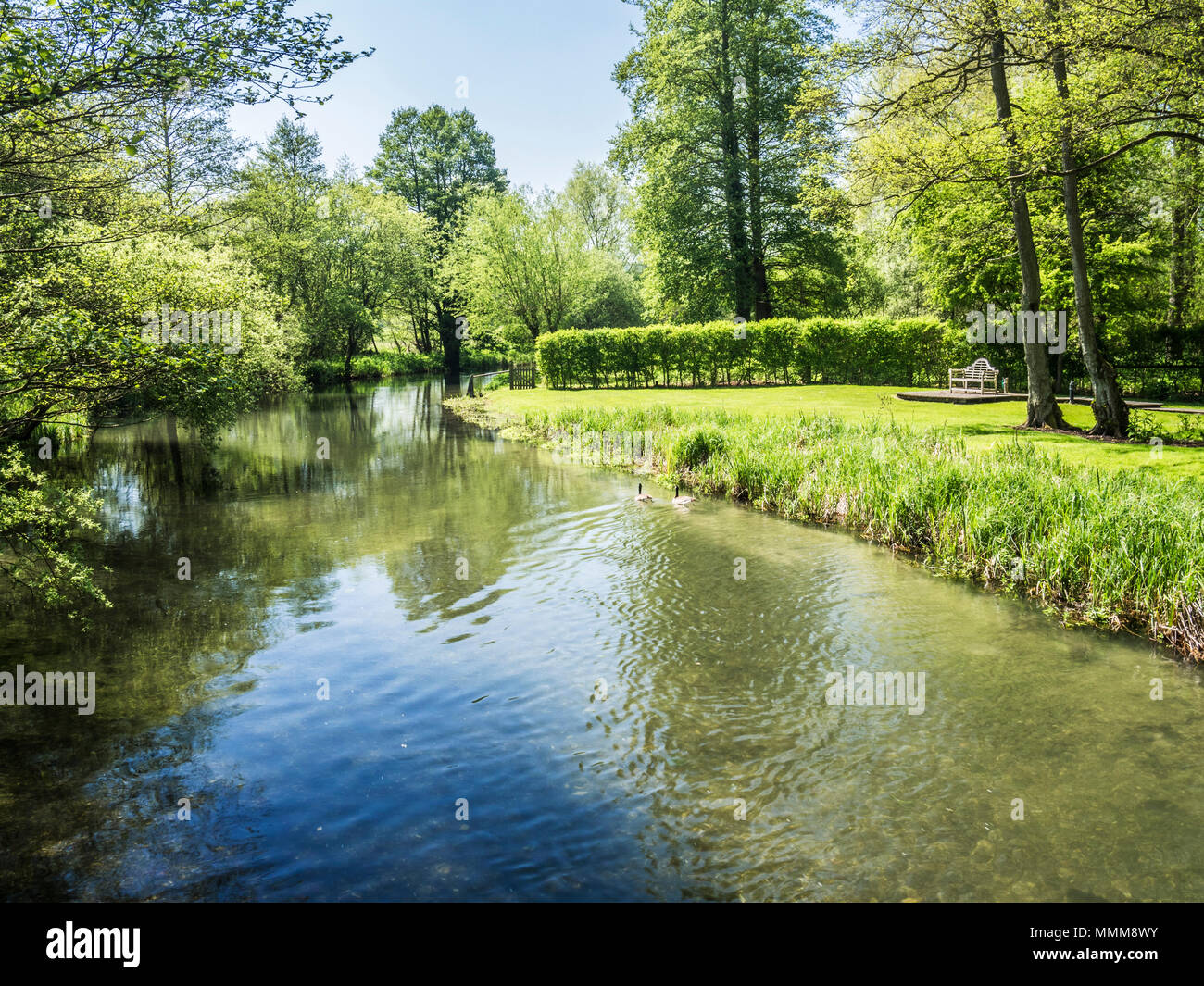 Riverside bench hi-res stock photography and images - Alamy