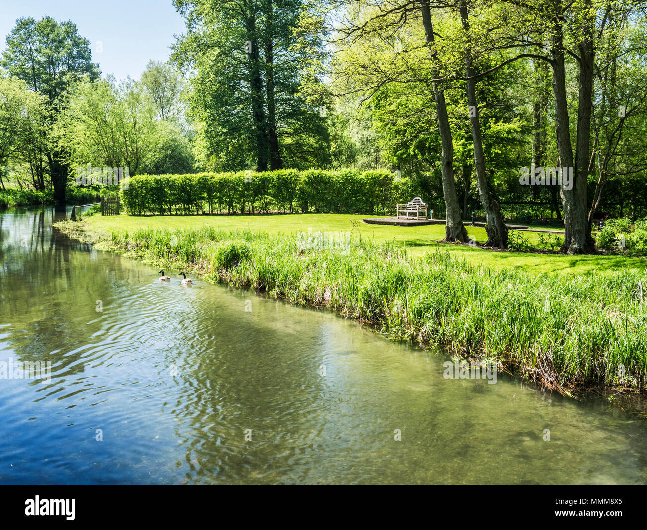 Sunny spring day along hi-res stock photography and images - Alamy