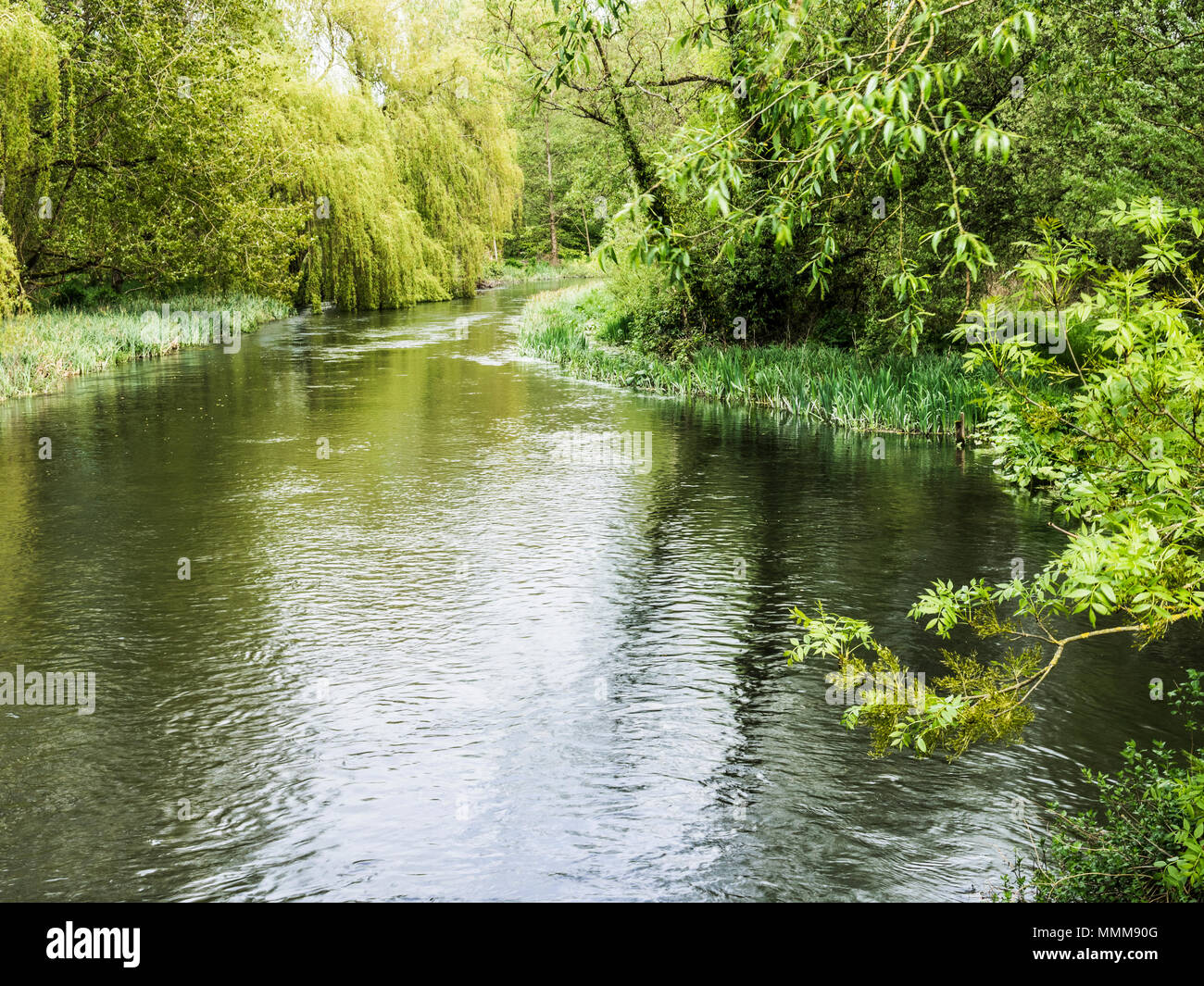 June spring hi-res stock photography and images - Alamy