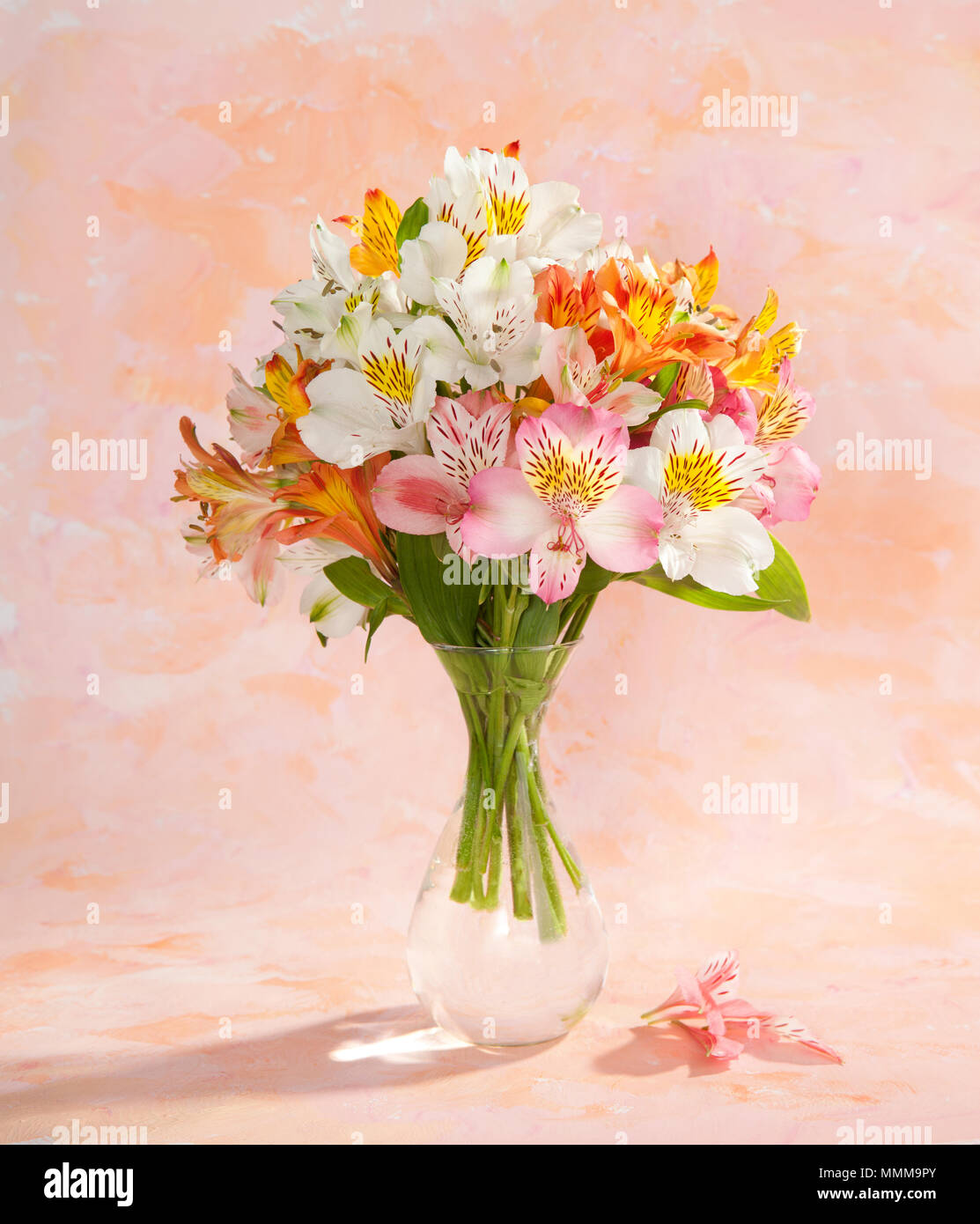 Still life with the bouquet of colorful Alstroemeria flowers in a ...