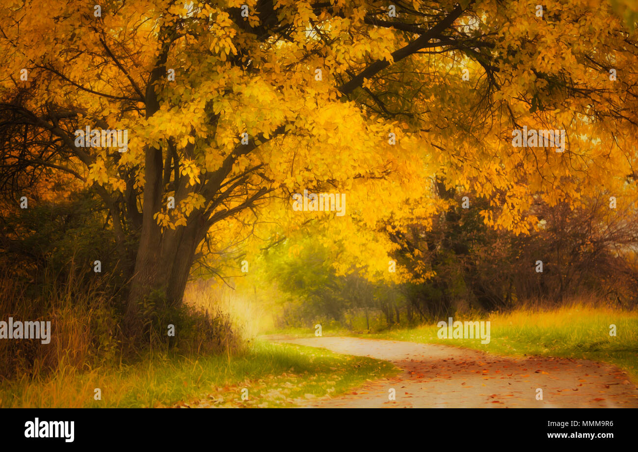 Beautiful winding trail leads hi-res stock photography and images - Alamy
