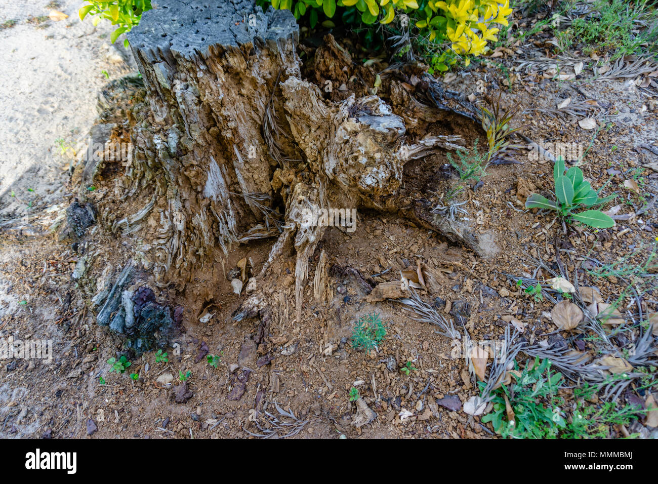 Cut scenery for wallpaper hi-res stock photography and images - Alamy