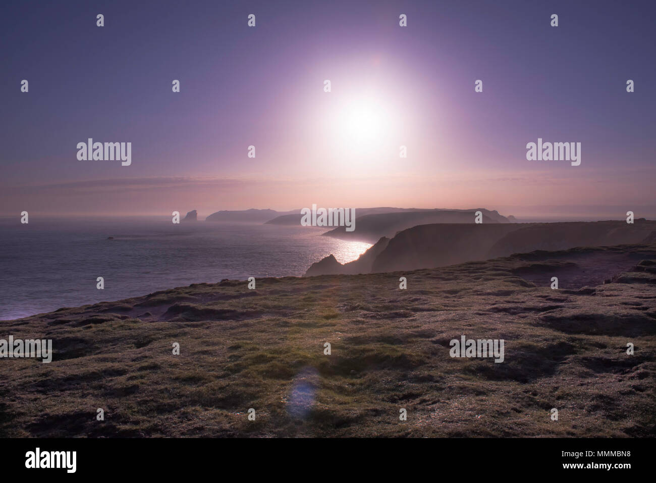 Exploring the natural world hi-res stock photography and images - Alamy