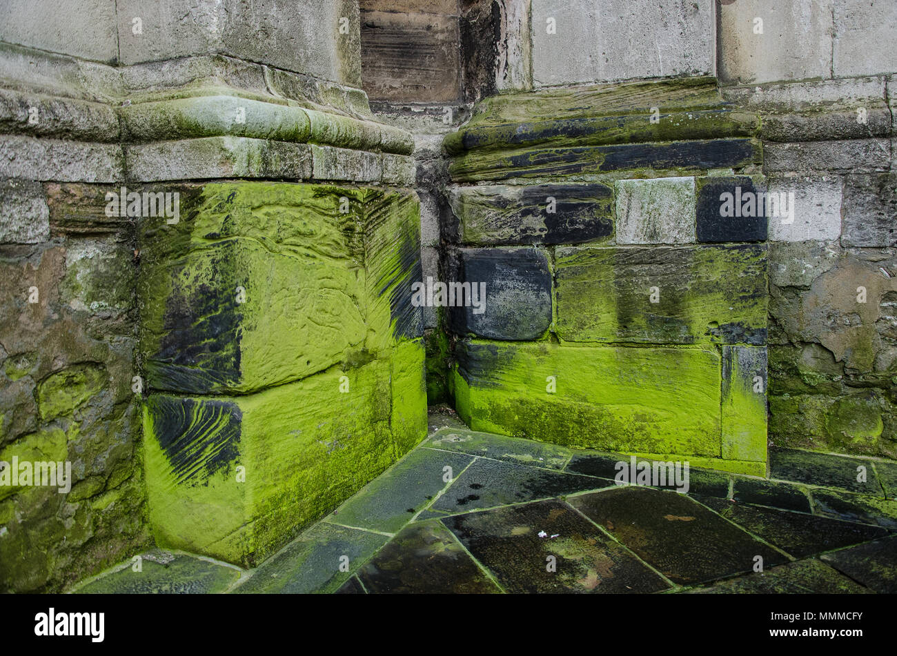 Magdeburg Cathedral, officially called the Cathedral of Saints ...