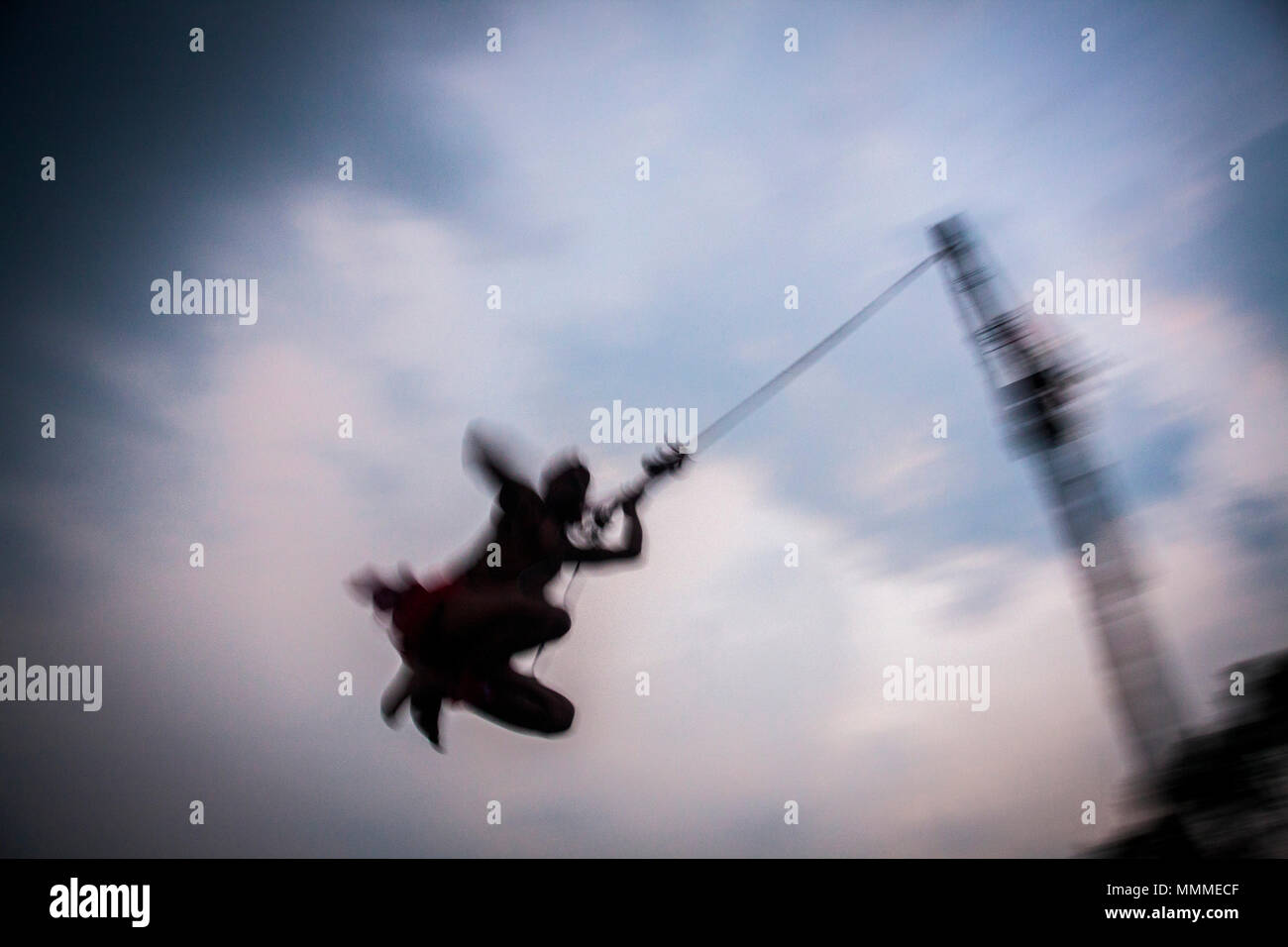 Charak tree hi-res stock photography and images - Alamy