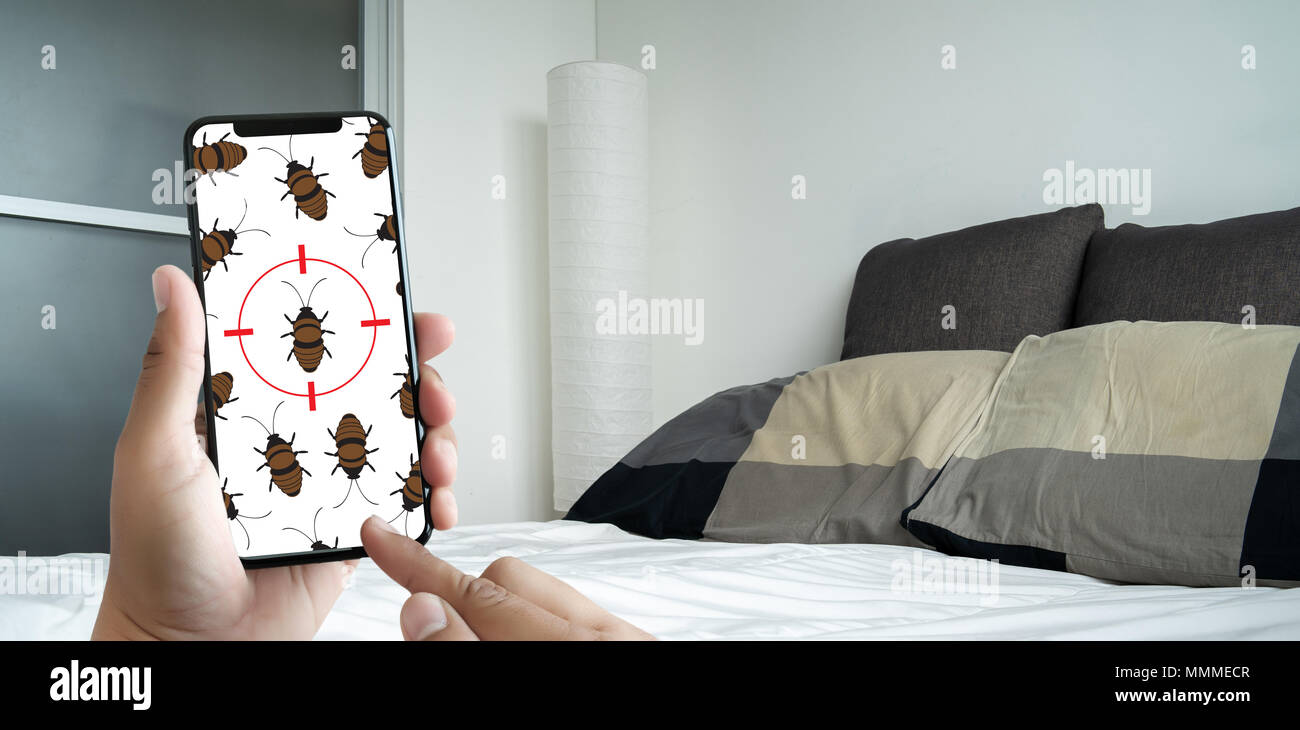 Women are checking for unusual things and detecting bed bugs in the ...