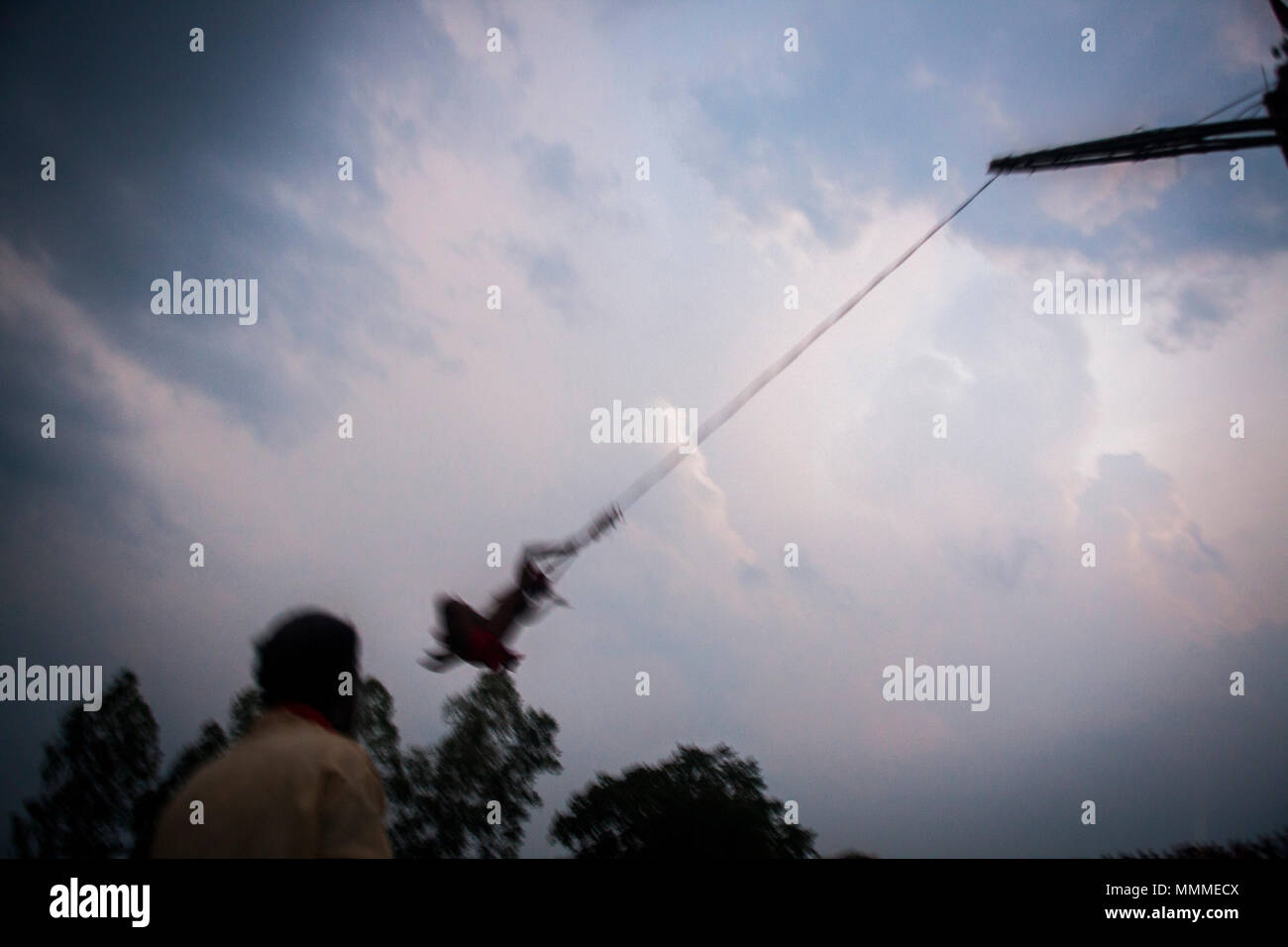 Charak tree hi-res stock photography and images - Alamy