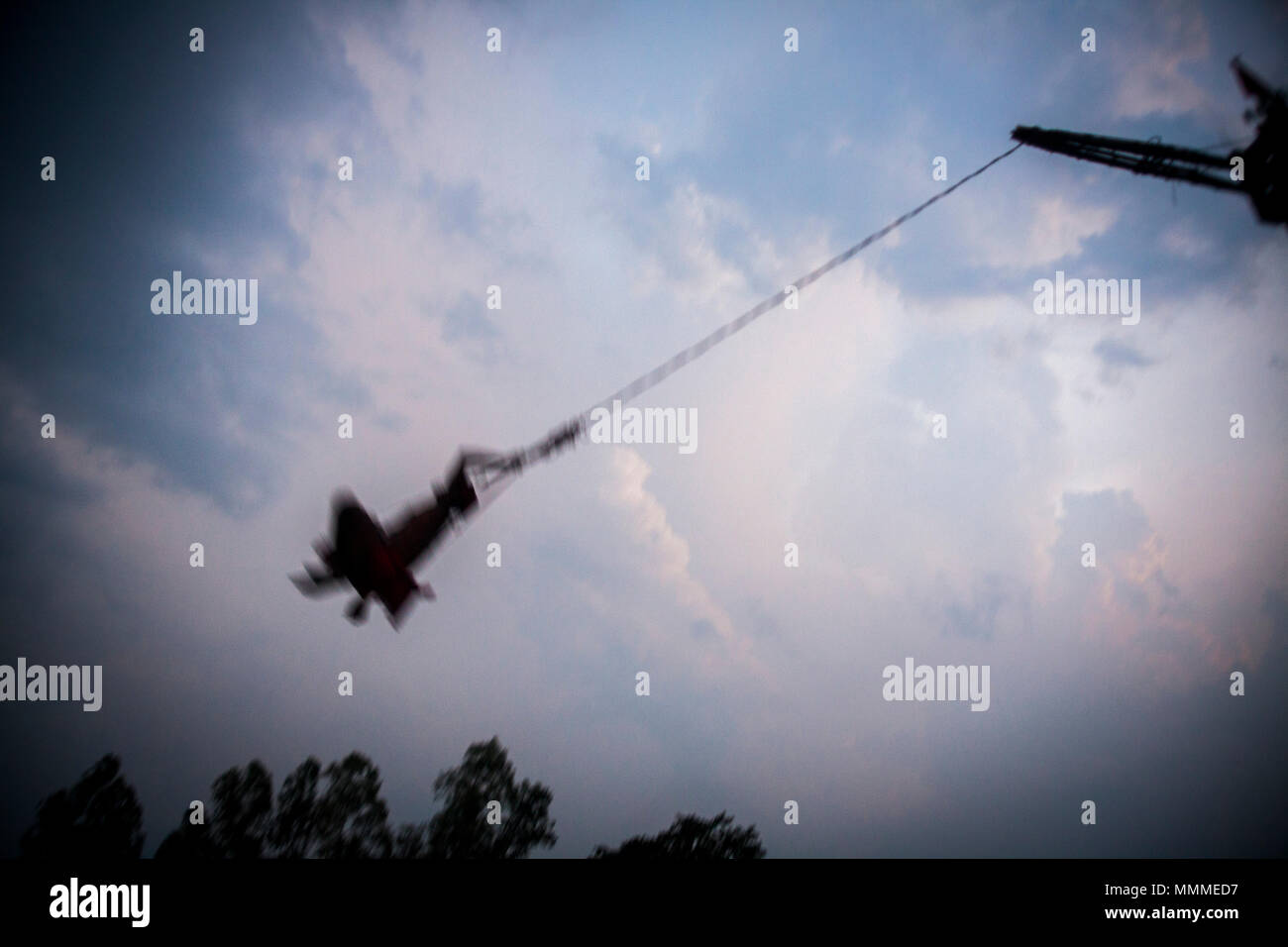 Charak tree hi-res stock photography and images - Alamy