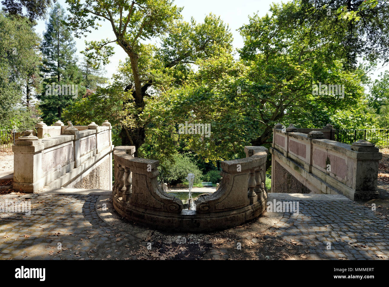 Fountain of eleven sprouts hi-res stock photography and images - Alamy