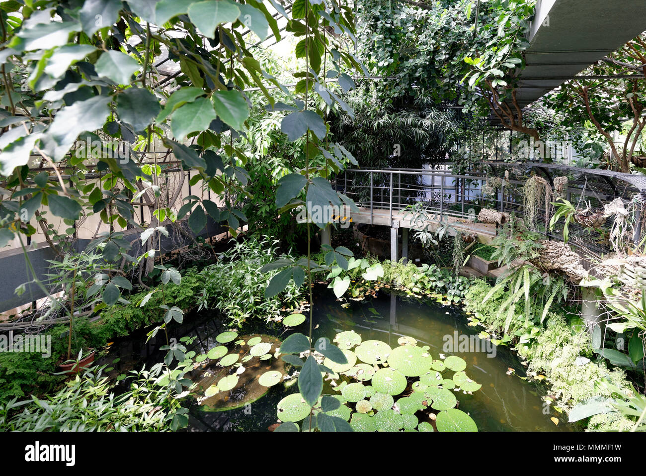 The Botanical Gardens In Rome High Resolution Stock Photography and ...