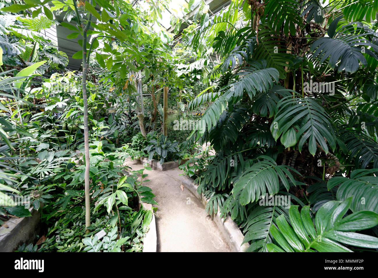 The Botanical Gardens In Rome High Resolution Stock Photography and ...