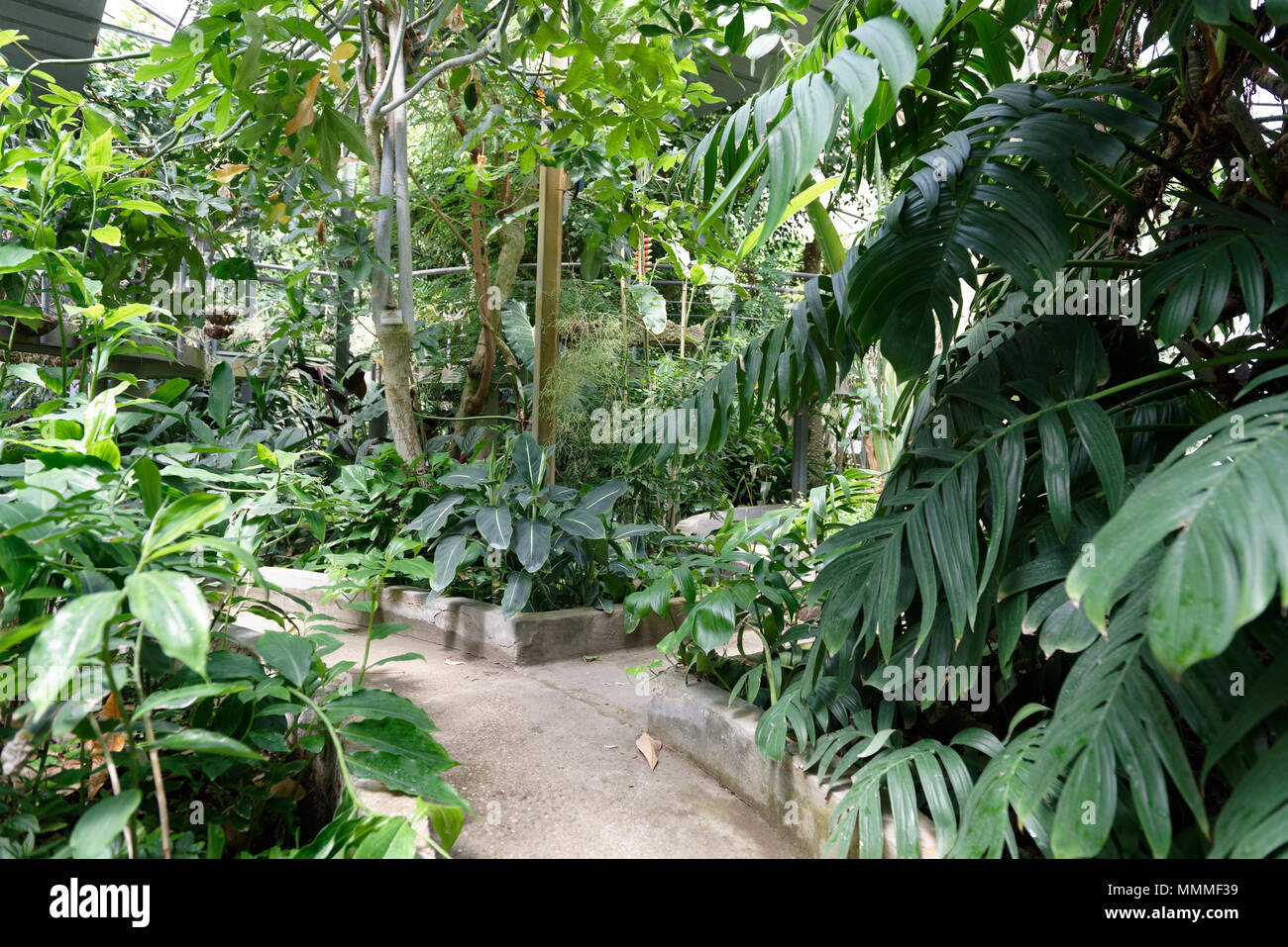 The Botanical Gardens In Rome High Resolution Stock Photography and ...
