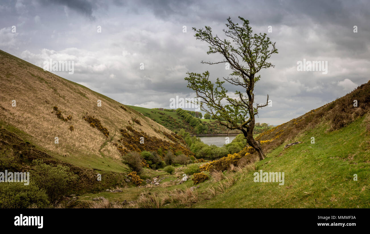 Meldon Reservoir Stock Photos & Meldon Reservoir Stock Images - Alamy