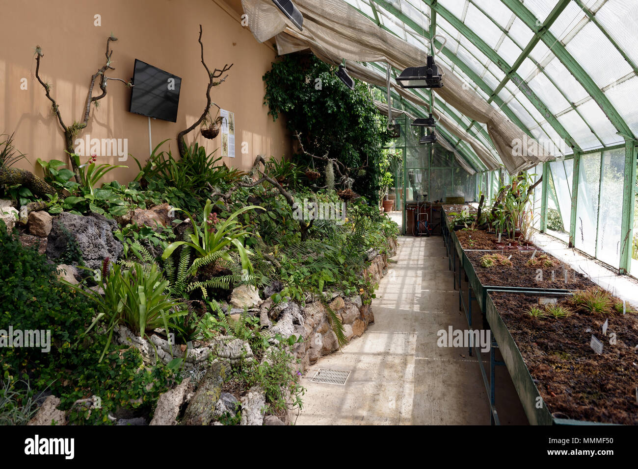 The monumental Greenhouse, Orto Botanico di Roma or Rome's Botanical ...