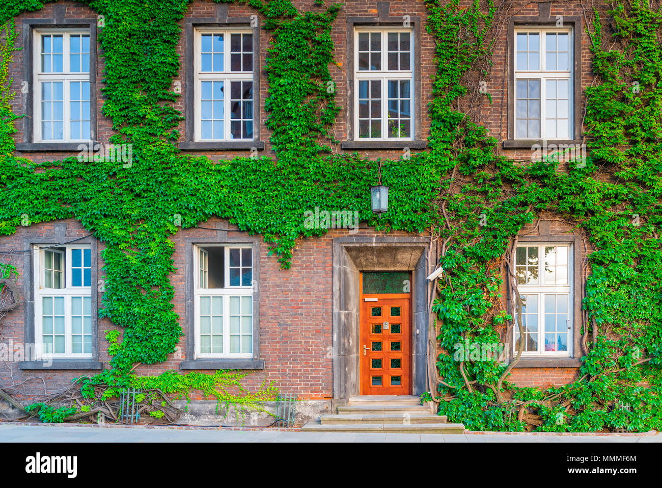 part of a brick building with windows and a door, overgrown with ...
